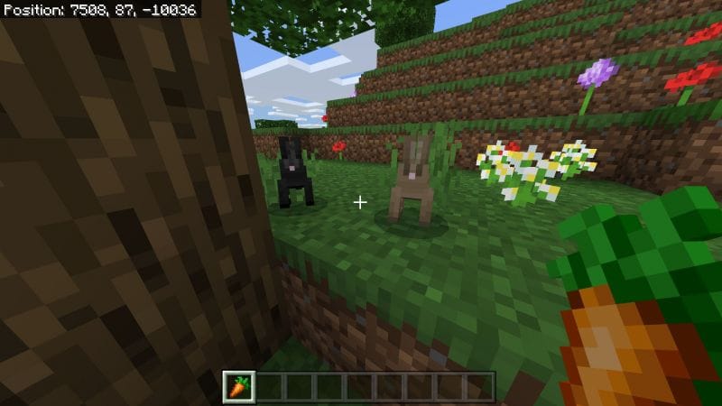 Minecraft Rabbit: Spawning, Behavior, Drops