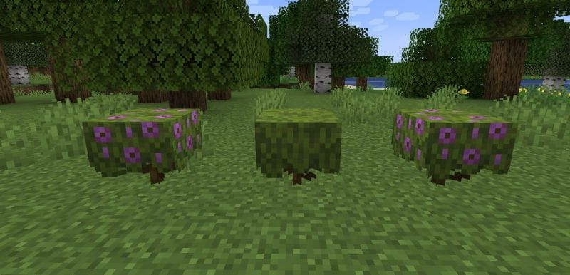 Top 5 uses of Azalea in Minecraft