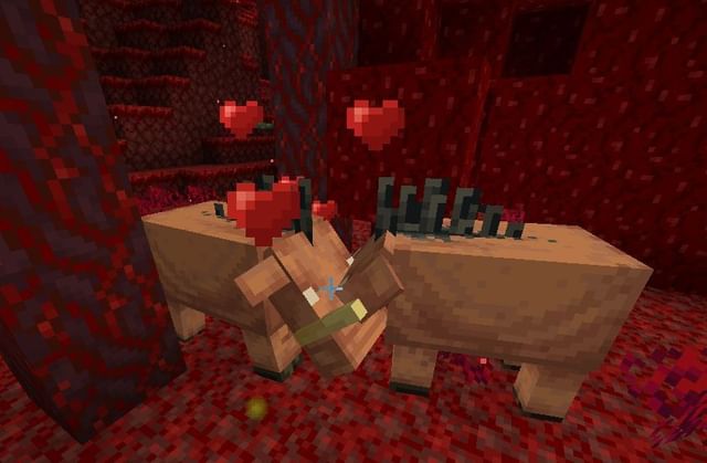 Hoglin in Minecraft: Behavior, Spawning, How to Breed, Uses