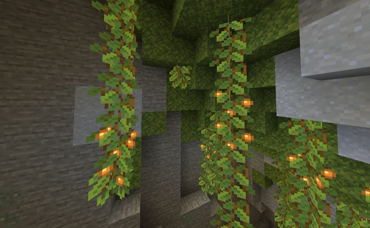 Cave Vines in Minecraft