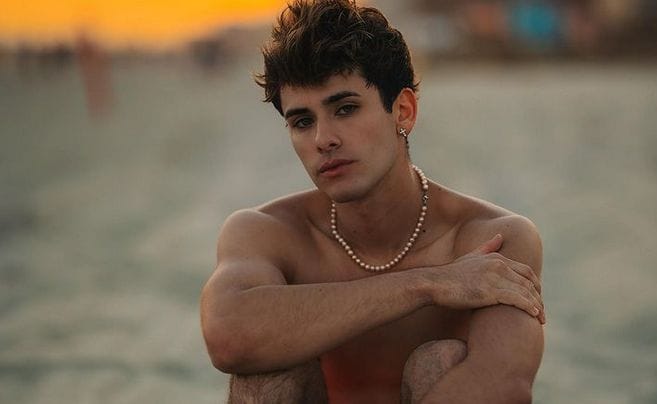 Johnny Valentine's Profile, Net Worth, Age, Height, Relationships, FAQs