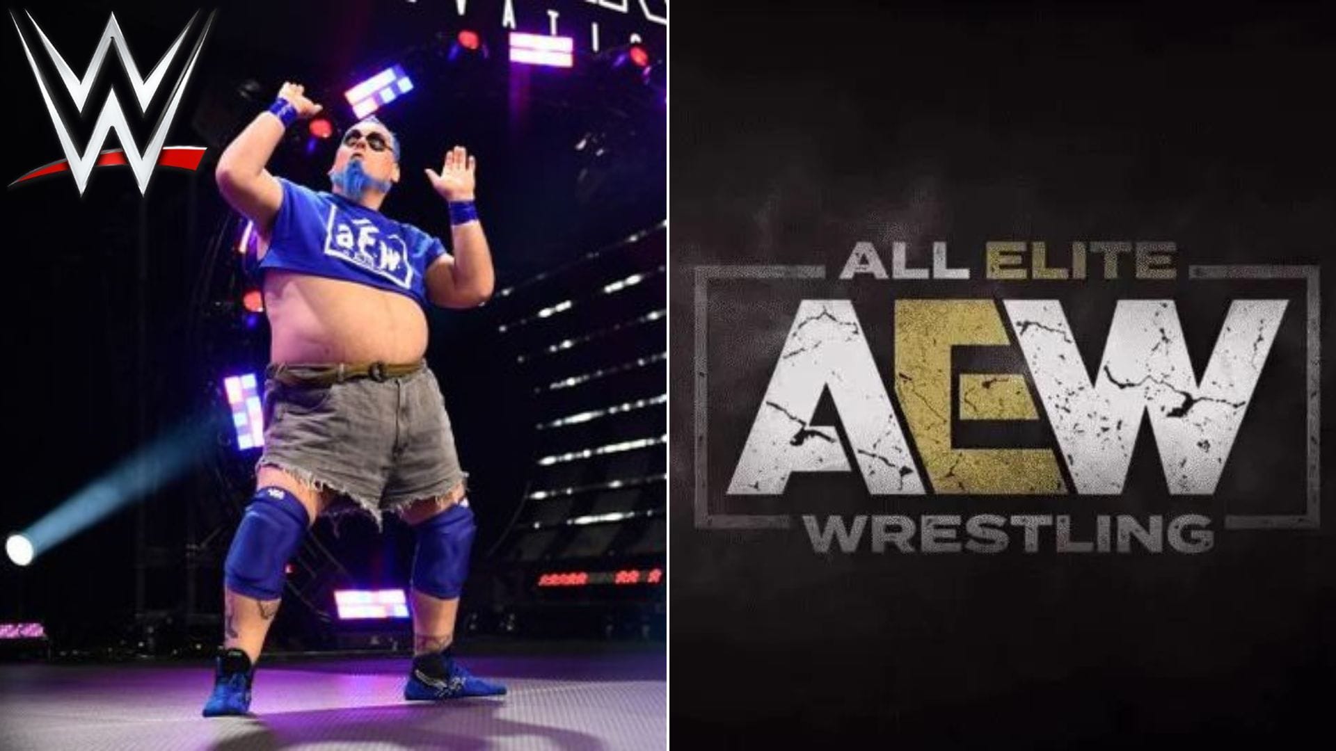 WWE veteran The Blue Meanie details the lengths he went to keep AEW ...