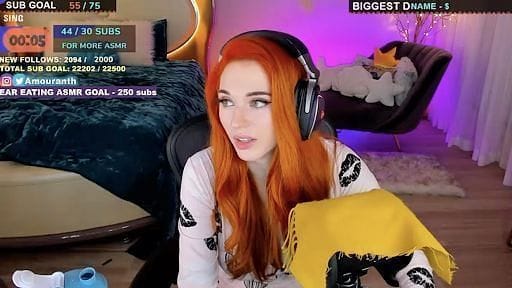 How much is Amouranth's Total Net Worth?