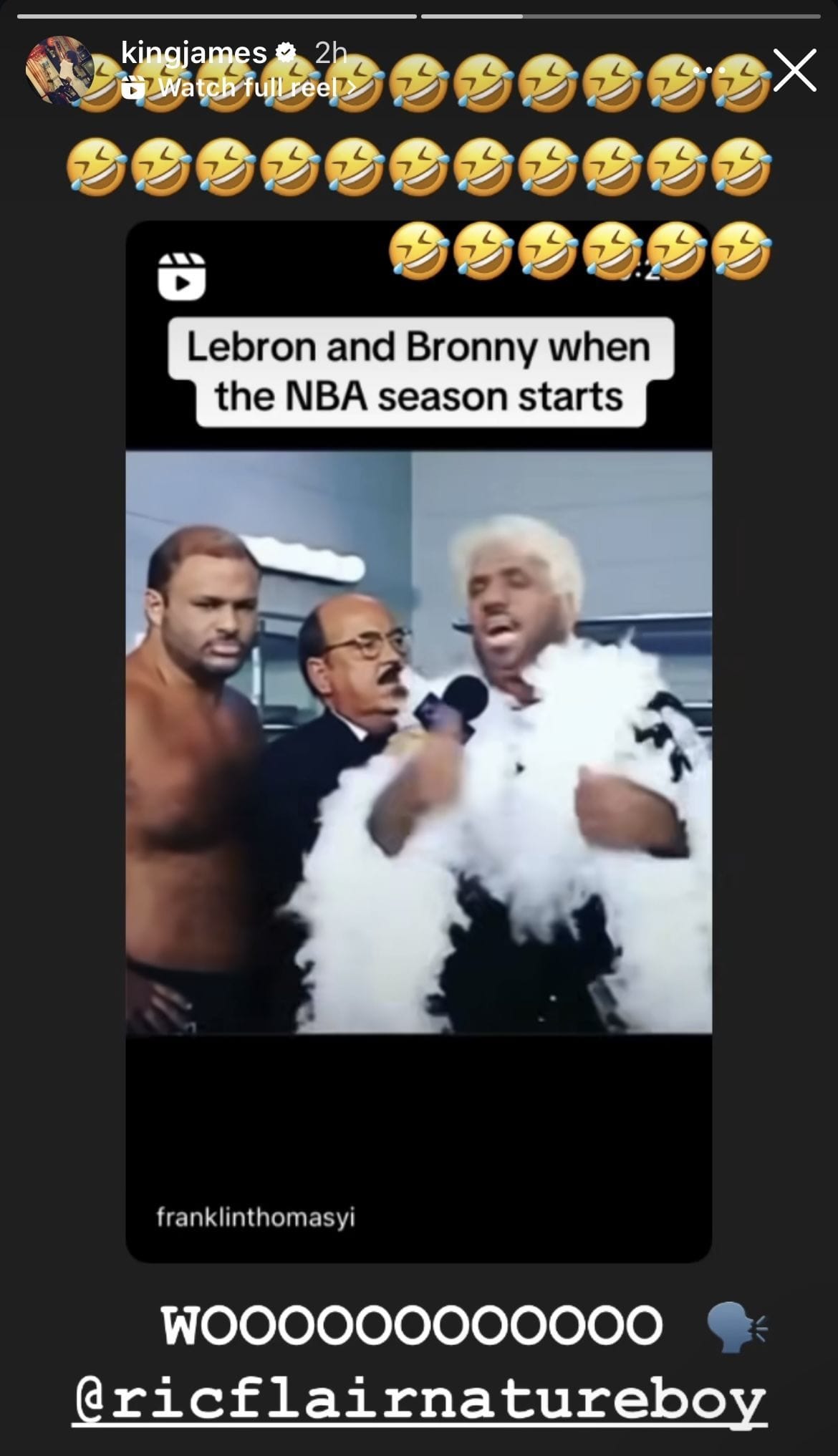 LeBron James in stitches over Ric Flair meme depicting his craze to ...