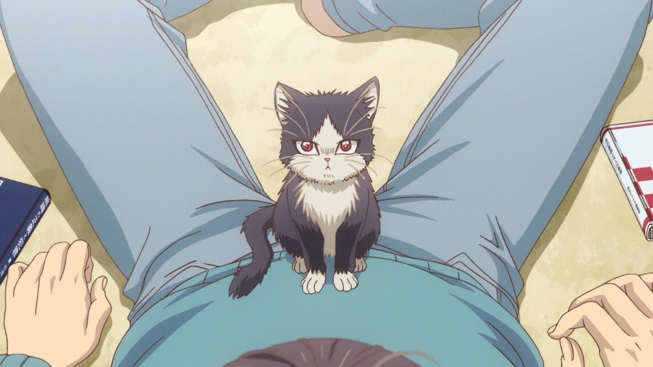10 best anime for cat lovers to watch