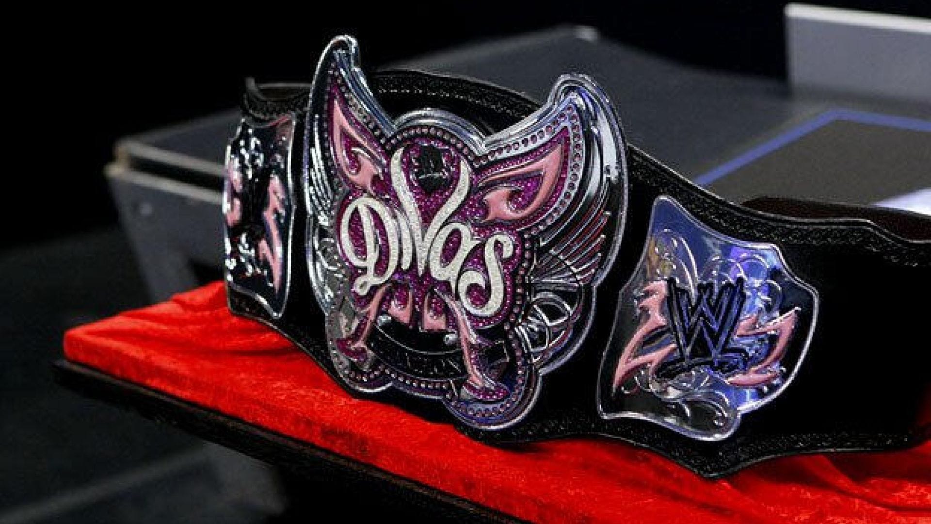 Former Divas Champion makes WWE return after 3-year absence