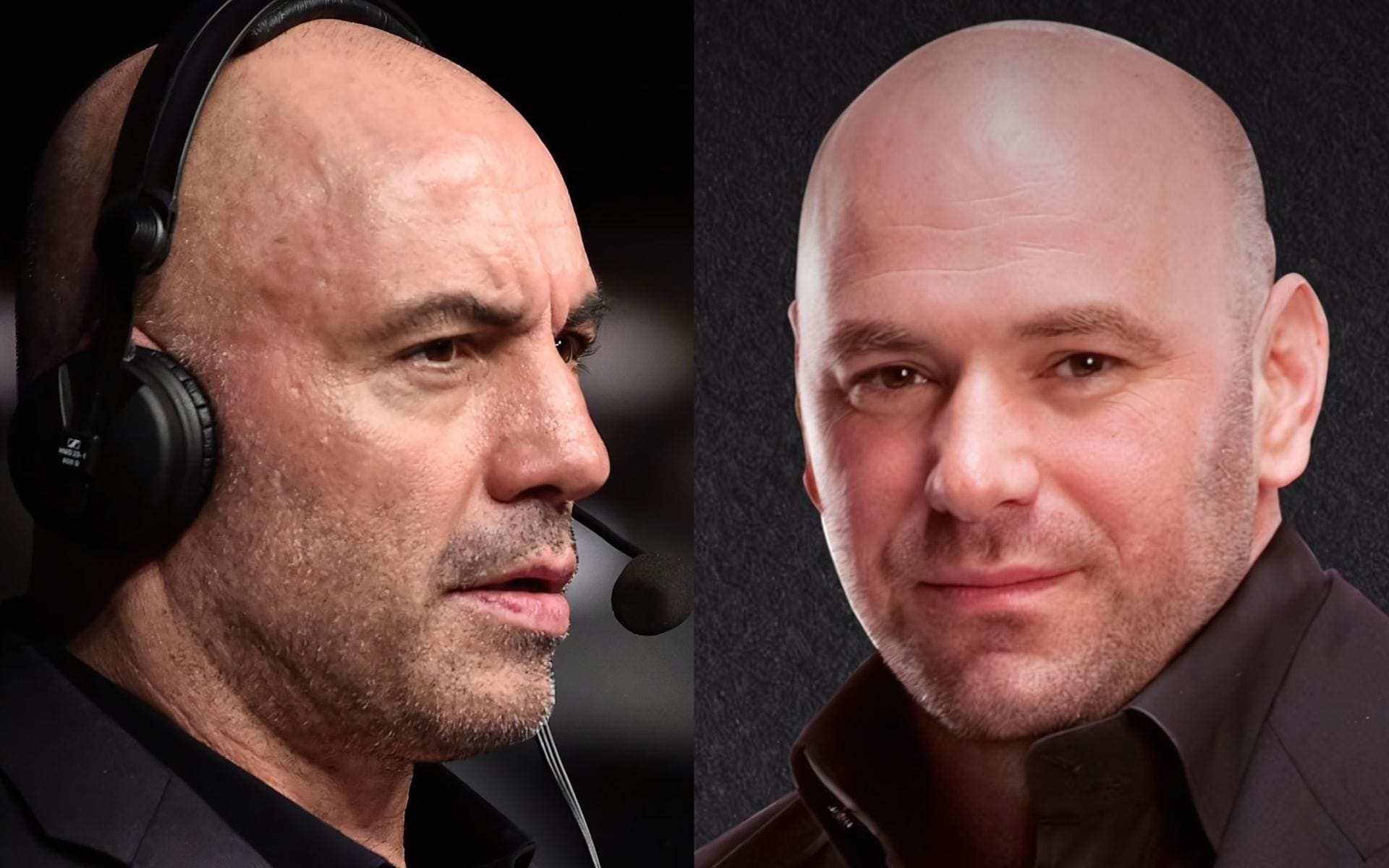 Dana White: "Dana White keeps trying to get me to come see it" - Joe ...